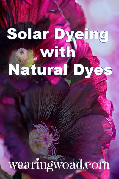Solar Dyeing with Natural Dyes - Wearing Woad